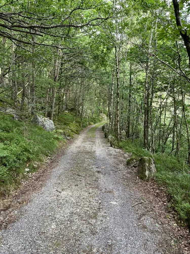 Best Hikes and Trails in Rabali naturreservat | AllTrails