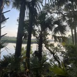 Doris Leeper Trail, Florida - 429 Reviews, Map | AllTrails