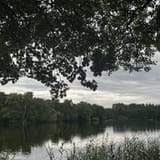 Redesmere and Capesthorne Circular, Cheshire, England - 134 Reviews ...