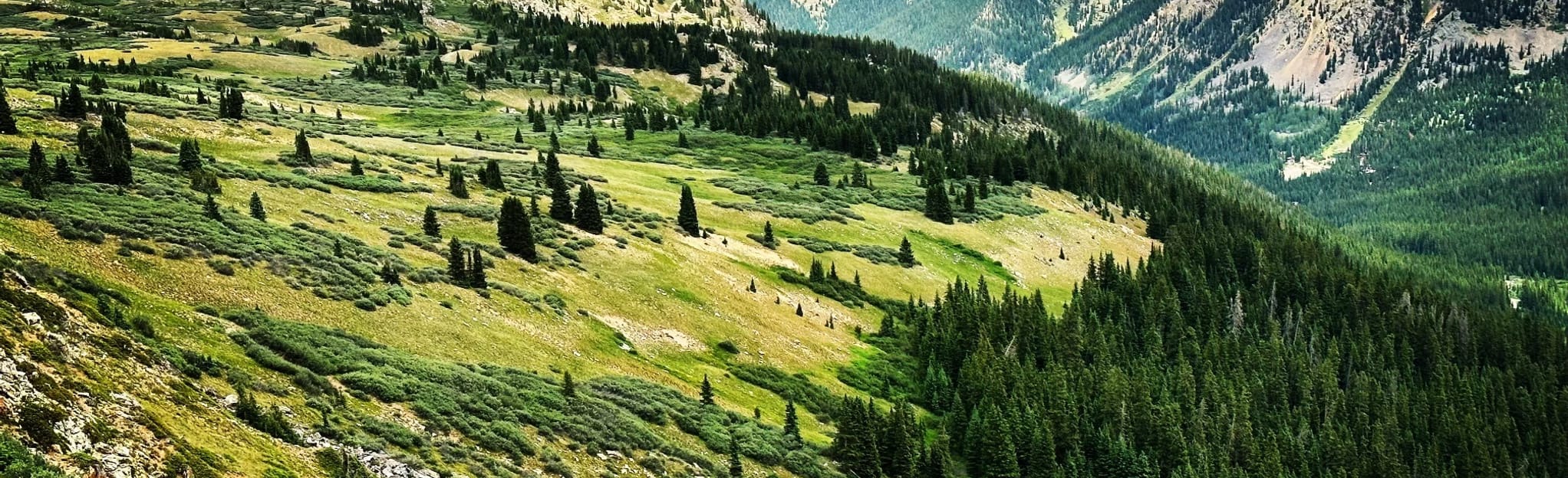 Webster Pass, Deer Creek, Saints John Trail, Colorado - 3 Reviews, Map ...