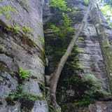 Rimrock Overlook Trail, Pennsylvania - 425 Reviews, Map | AllTrails