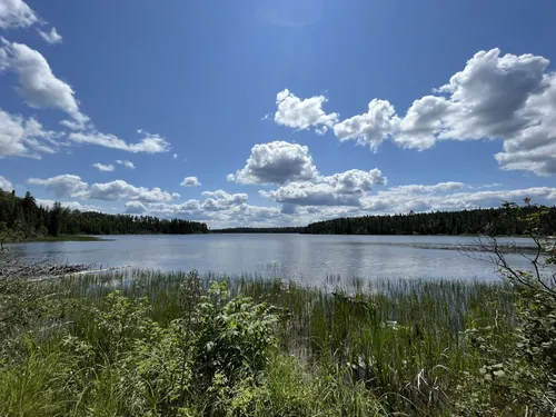 Best Hikes and Trails in Blue Lake Provincial Park | AllTrails