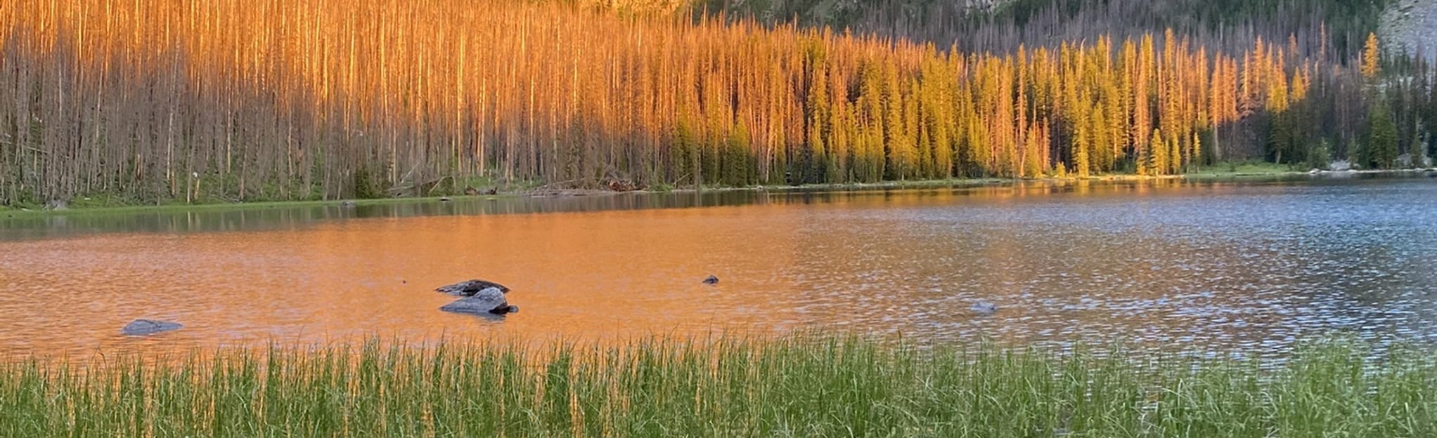 Edith Lake Trail, Montana - 27 Reviews, Map | AllTrails