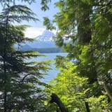 Lost Lake Loop (Lakeshore Trail), Oregon - 557 Reviews, Map | AllTrails