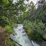 Russian River Falls, Alaska - 1,106 Reviews, Map | AllTrails