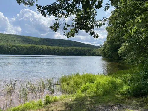 Best Hikes and Trails in Locust Lake State Park | AllTrails
