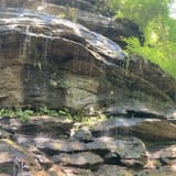 Hidden Falls Trail, South Carolina - 589 Reviews, Map | AllTrails