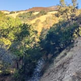 Curry Canyon Trail, California - 101 Reviews, Map | AllTrails