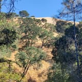 Curry Canyon Trail, California - 101 Reviews, Map | AllTrails