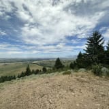 Triple Tree Trail, Montana - 1,077 Reviews, Map | AllTrails