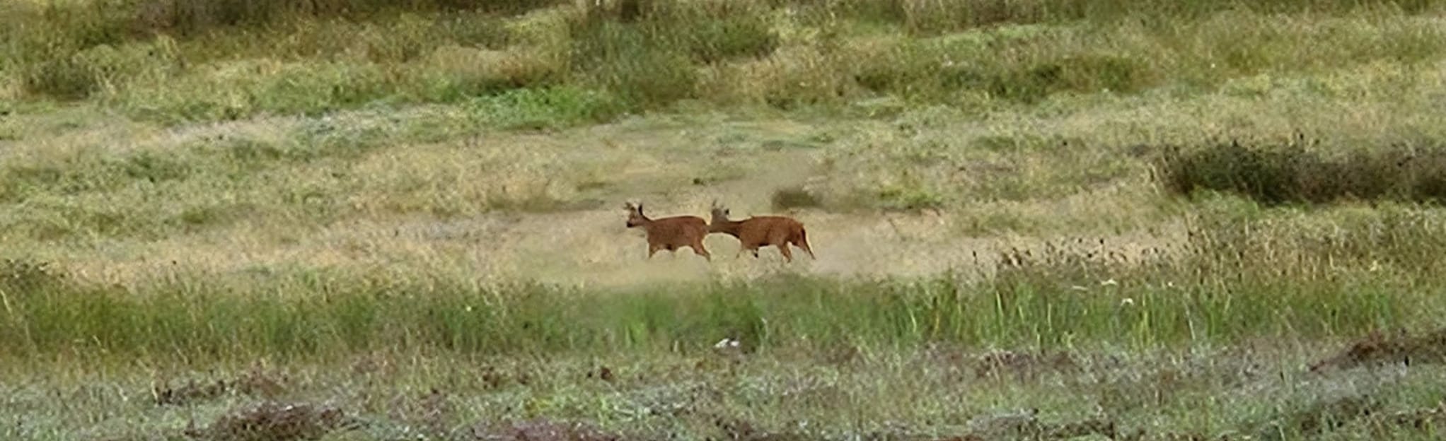 Waterloo Village, Highlands, Scotland - 4 Reviews, Map | AllTrails