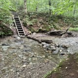 Barnes Camp Loop, Vermont - 456 Reviews, Map | AllTrails