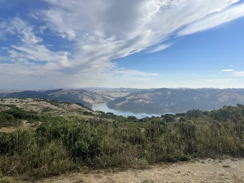 10 Best Trails and Hikes in Berkeley | AllTrails