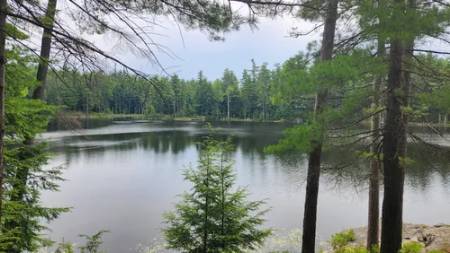 Best Hikes and Trails in Pole Hill Pond | AllTrails