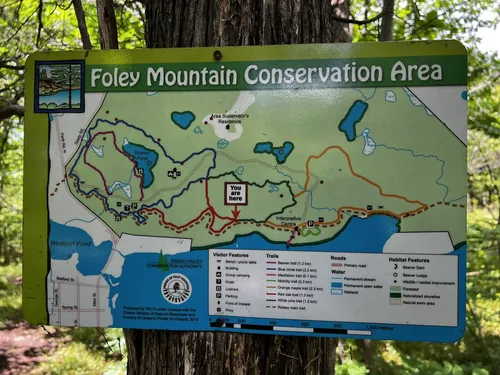 2023 Best Lake Trails in Murphy's Point Provincial Park | AllTrails