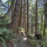 Possession Point State Park Loop, Washington - 136 Reviews, Map | AllTrails