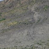 Schofield Pass OHV Trail, Colorado - 61 Reviews, Map | AllTrails