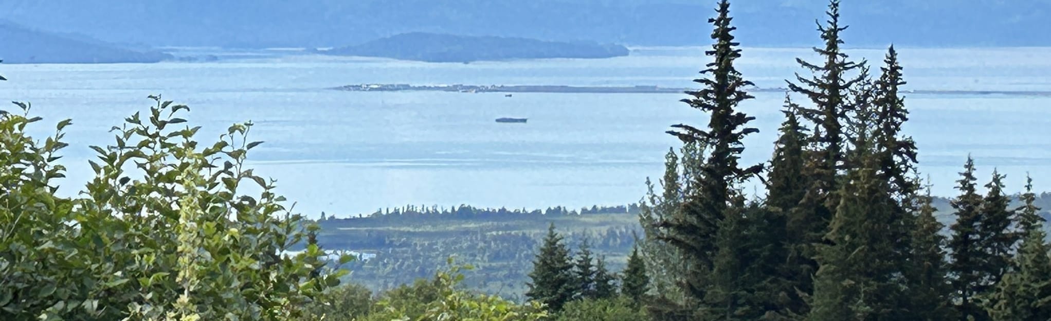 McNeil Canyon Loop, Alaska - 25 Reviews, Map | AllTrails