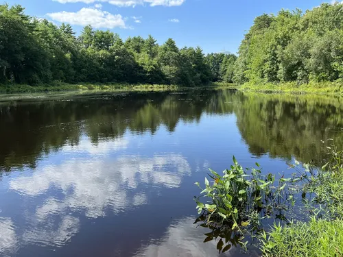 2023 Best Walking Trails in Kingston | AllTrails