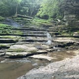 Raven Run Red Trail, Kentucky - 1,392 Reviews, Map | AllTrails