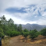 Oak Glen Preserve Trails, California - 727 Reviews, Map | AllTrails