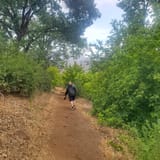Oak Glen Preserve Trails, California - 727 Reviews, Map | AllTrails
