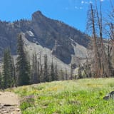 Baker Lake Trail, Idaho - 404 Reviews, Map | AllTrails