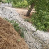 Oak Glen Preserve Trails, California - 677 Reviews, Map | AllTrails