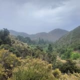 Oak Glen Preserve Trails, California - 727 Reviews, Map | AllTrails