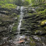 Sill Branch Falls, Tennessee - 677 Reviews, Map | AllTrails