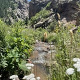Shelf Road / Gold Belt Tour, Colorado - 200 Reviews, Map | AllTrails