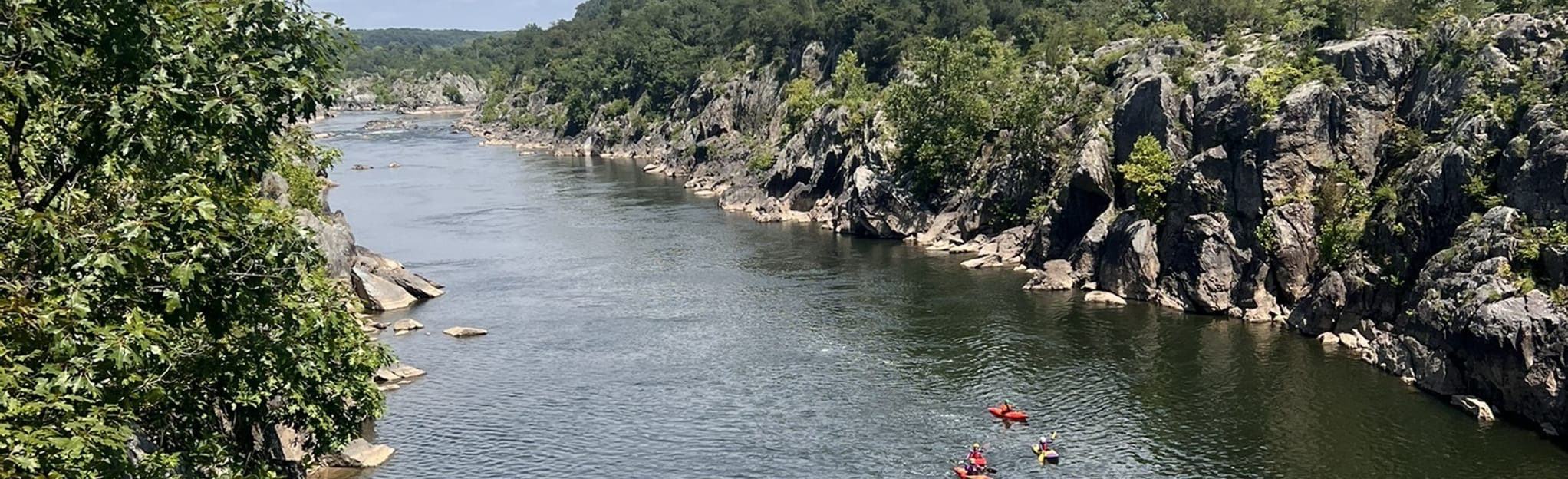 Upper Potomac River, Old Carriage and Swamp Trail Loop: 2.233 foto ...
