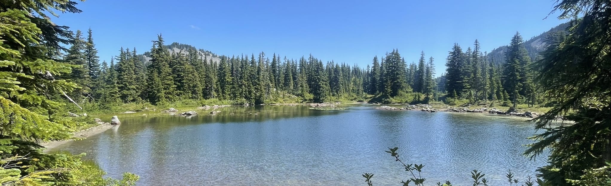Talapus Lake to Mt. Defiance, Washington - 18 Reviews, Map | AllTrails