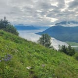 Hope Point, Alaska - 469 Reviews, Map | AllTrails