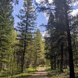 Boreas Pass Road and Baker's Tank Trail Loop, Colorado - 667 Reviews ...