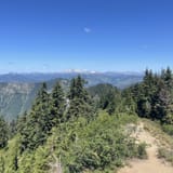Evergreen Lookout Trail, Washington - 207 Reviews, Map | AllTrails