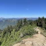 Evergreen Lookout Trail, Washington - 207 Reviews, Map | AllTrails