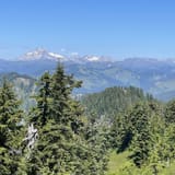 Evergreen Lookout Trail, Washington - 207 Reviews, Map | AllTrails