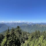 Evergreen Lookout Trail, Washington - 211 Reviews, Map | AllTrails