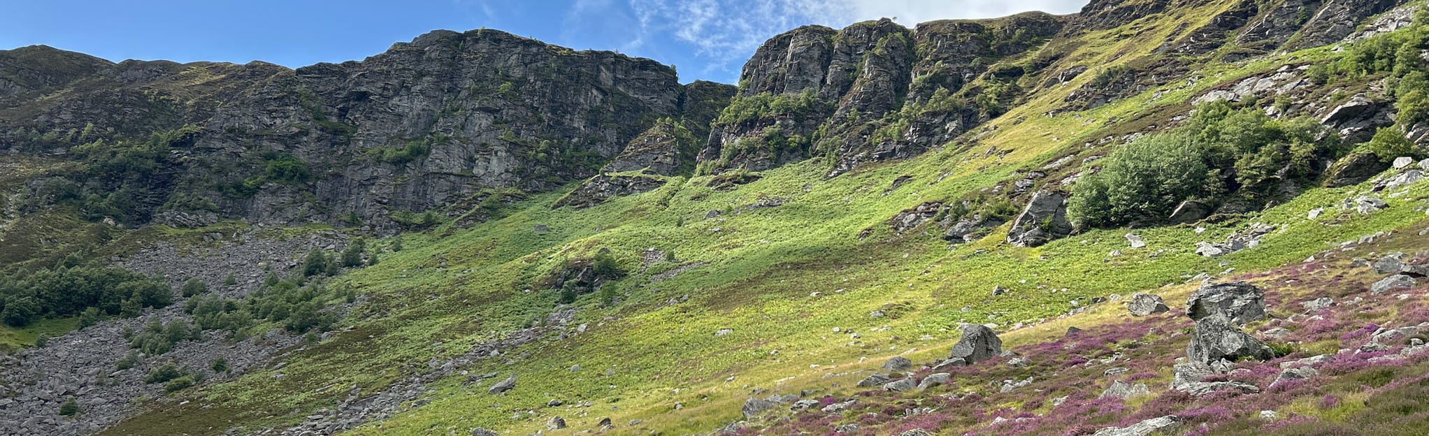 Loch Lee, Glen Esk Circular, Angus, Scotland - 90 Reviews, Map | AllTrails