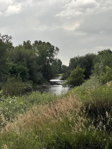 Best Hikes and Trails in North Shields Ponds Natural Area | AllTrails