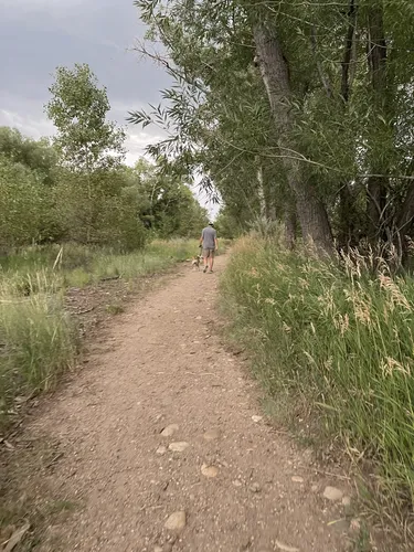 Best Hikes and Trails in North Shields Ponds Natural Area | AllTrails