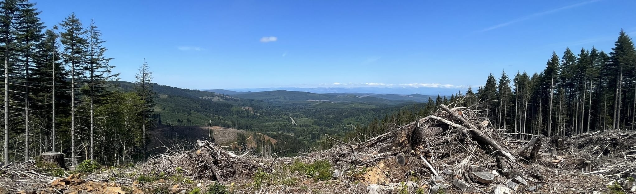 Capital Forest and Divide Trail OHV Loop: 265 foto's - Washington ...