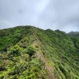 Manana Ridge Trail to Ko'olau Summit, Oahu, Hawaii - 172 Reviews, Map ...