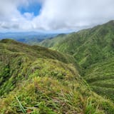 Manana Ridge Trail to Ko'olau Summit, Oahu, Hawaii - 172 Reviews, Map ...