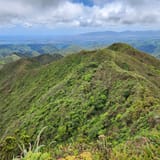 Manana Ridge Trail to Ko'olau Summit, Oahu, Hawaii - 172 Reviews, Map ...