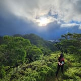Manana Ridge Trail to Ko'olau Summit, Oahu, Hawaii - 172 Reviews, Map ...