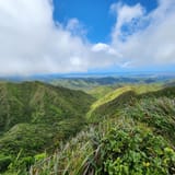 Manana Ridge Trail to Ko'olau Summit, Oahu, Hawaii - 172 Reviews, Map ...