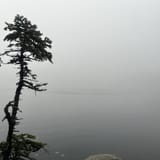 Mahoosuc Traverse, Maine - 35 Reviews, Map | AllTrails