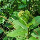 Farmdale Recreation Area Trail, Illinois - 828 Reviews, Map | AllTrails